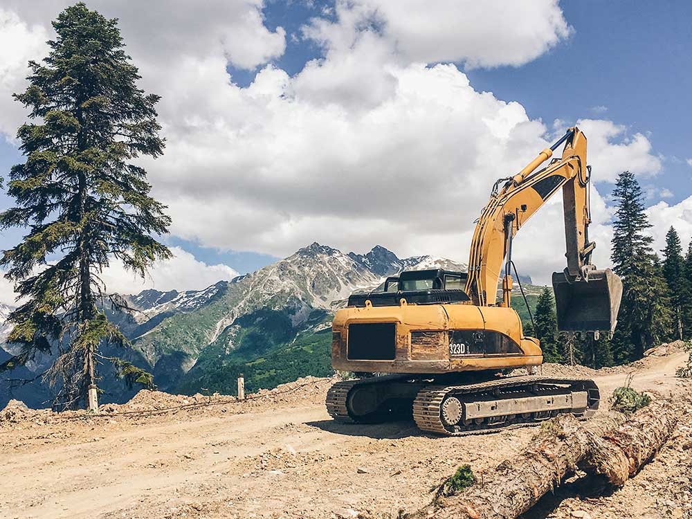 The Difference Between Renewable Diesel, Biodiesel & Regular Diesel ...